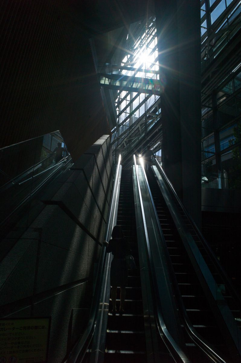 up and down.jpg | GANREF