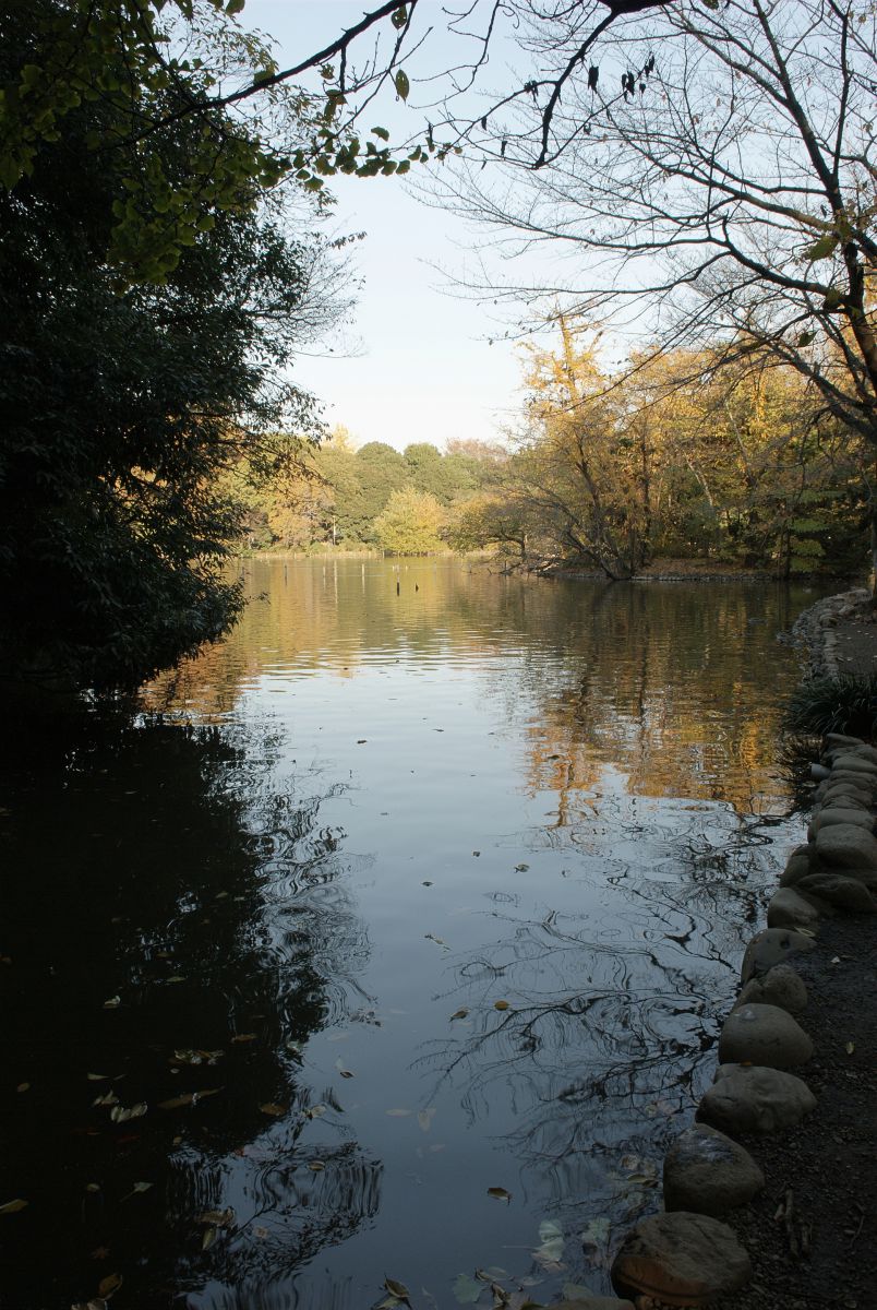 善福寺公園(HDR) | GANREF