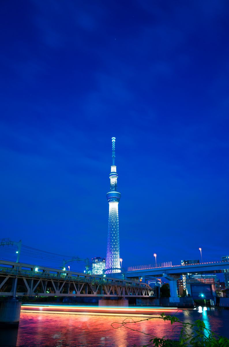 Blue Sky Tree | GANREF