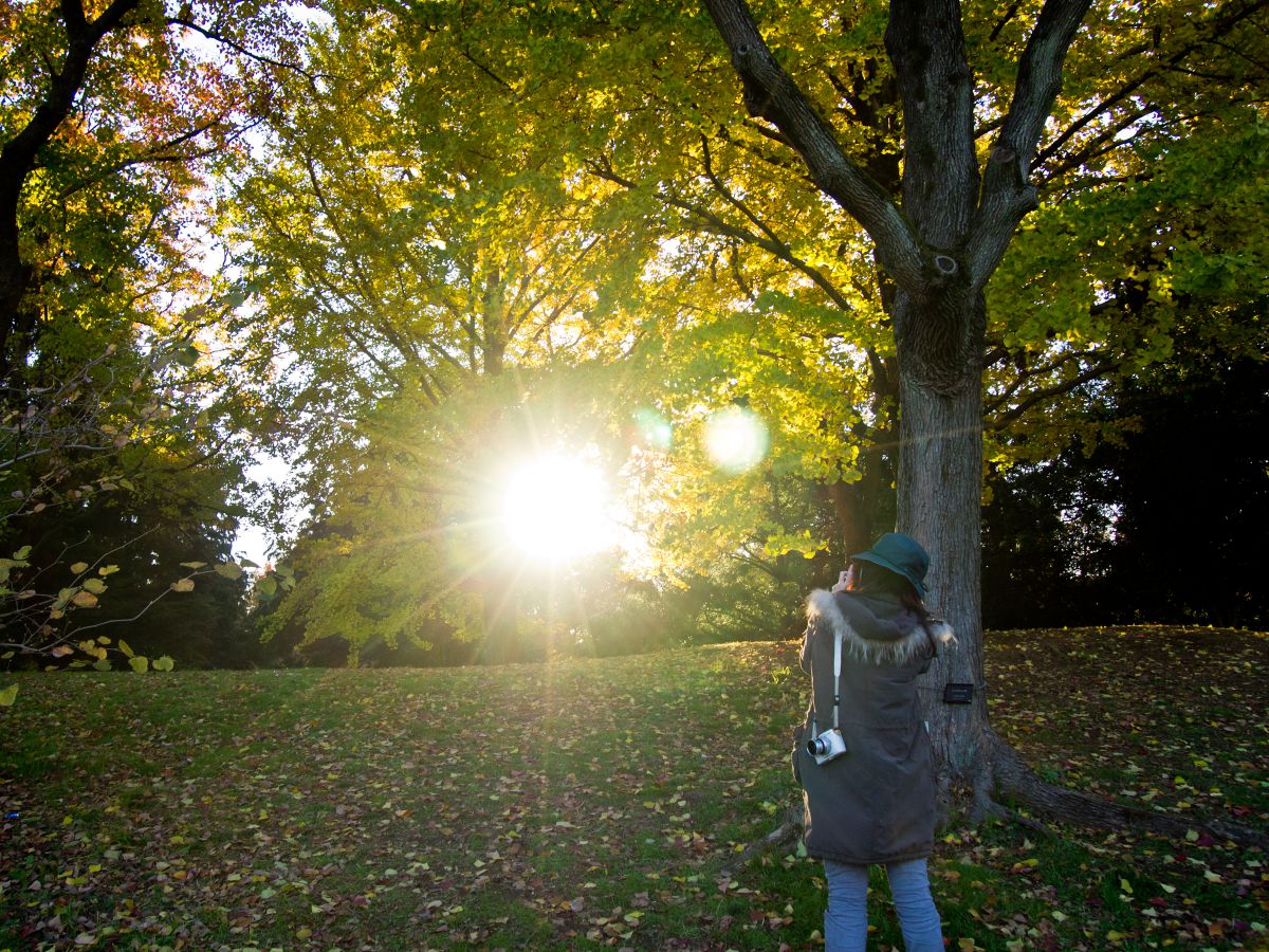 光を求めて… | GANREF