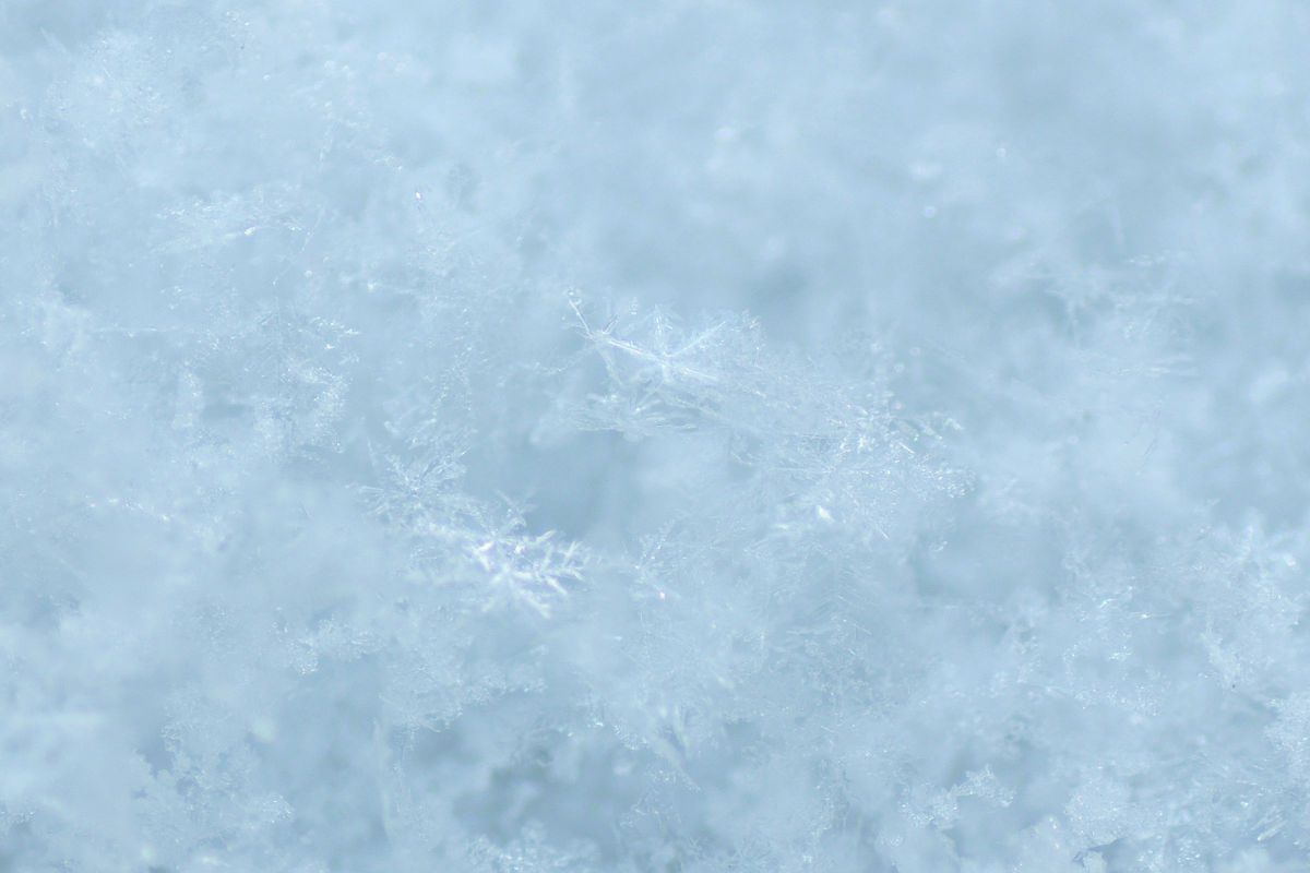 Snow crystal*1 | GANREF