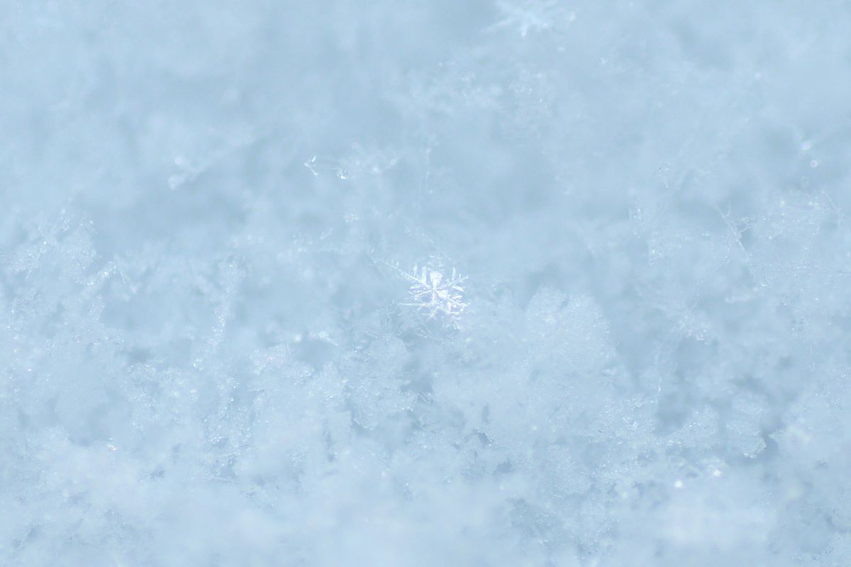 Snow crystal*2 | GANREF