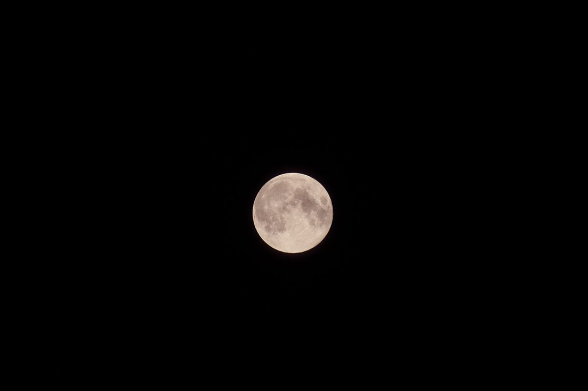 Strawberry Moon*2 | GANREF