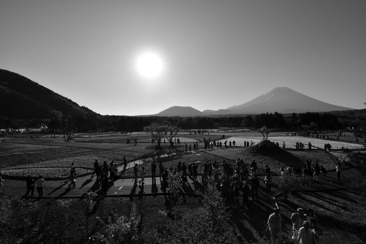 富士信仰 | GANREF