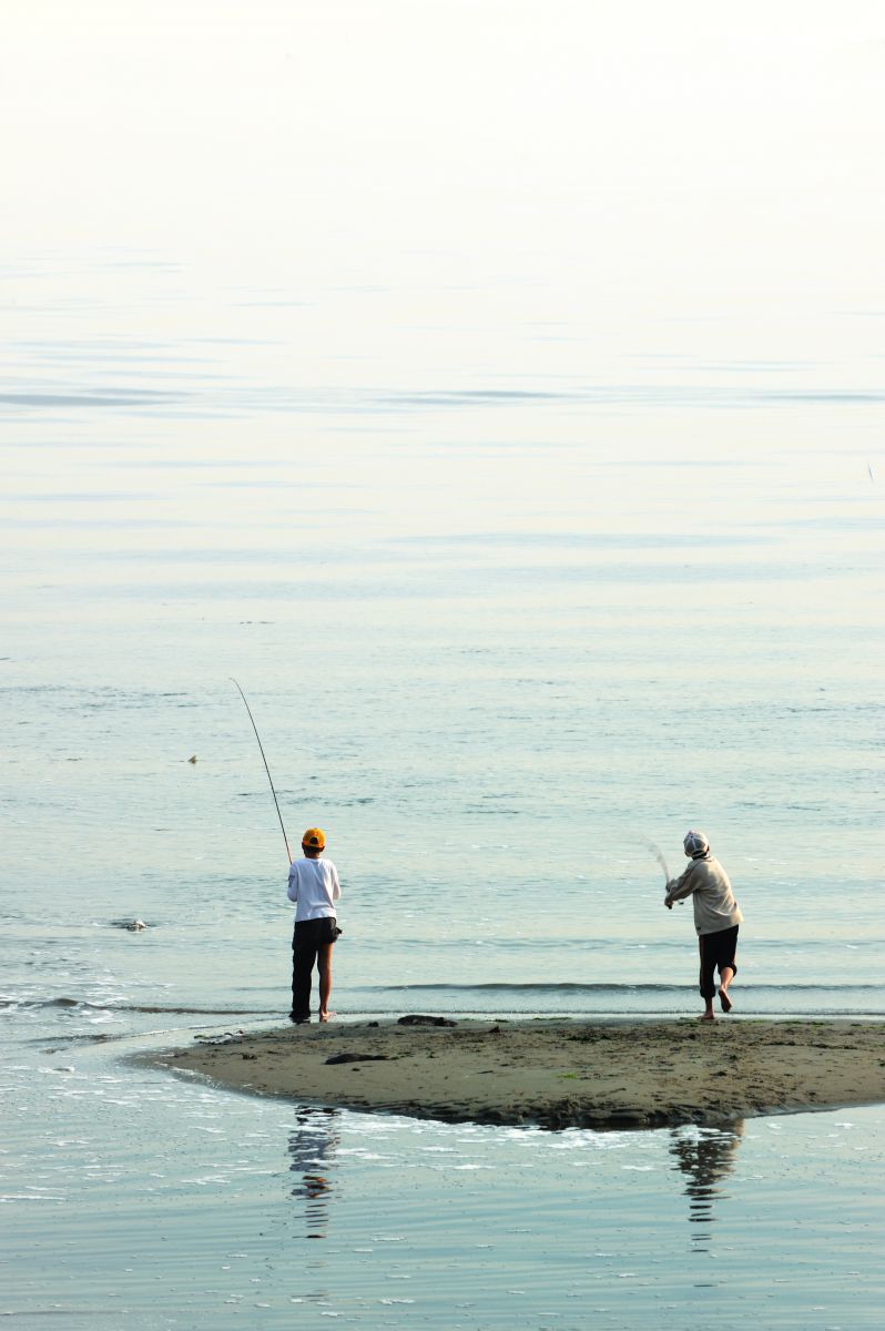 投げ釣り少年 | GANREF