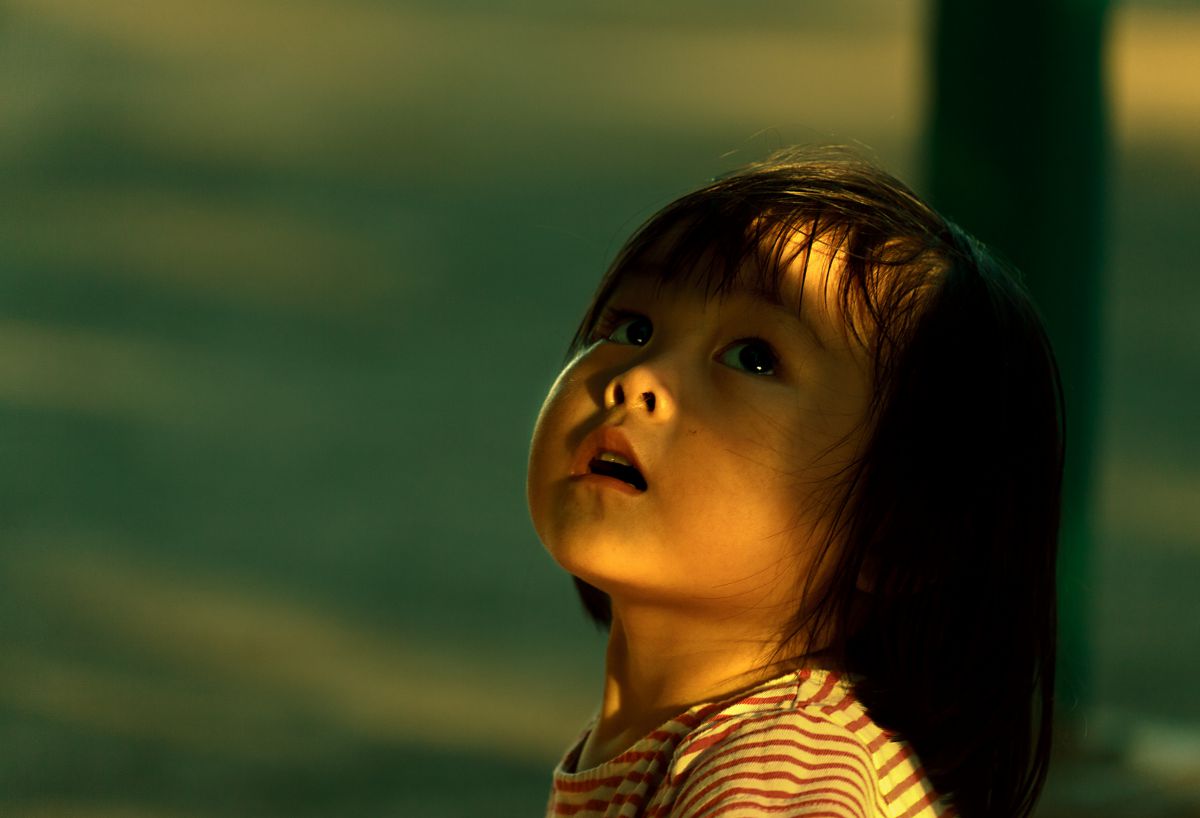 なにみてるの？ | GANREF