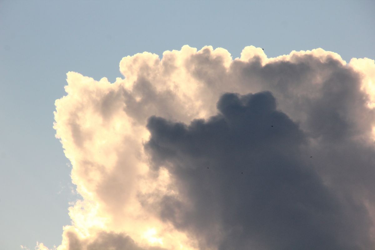 Cloud by Cloud | GANREF