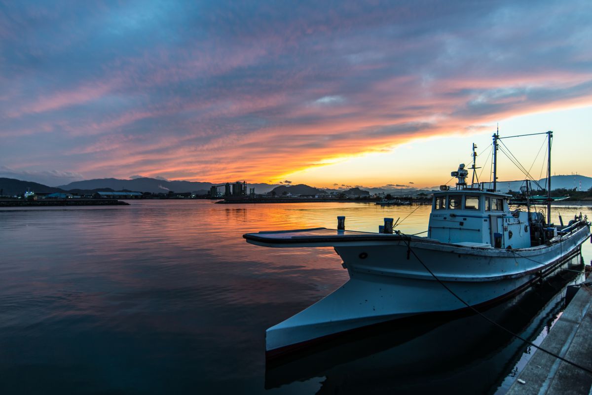 glow with the setting sun | GANREF