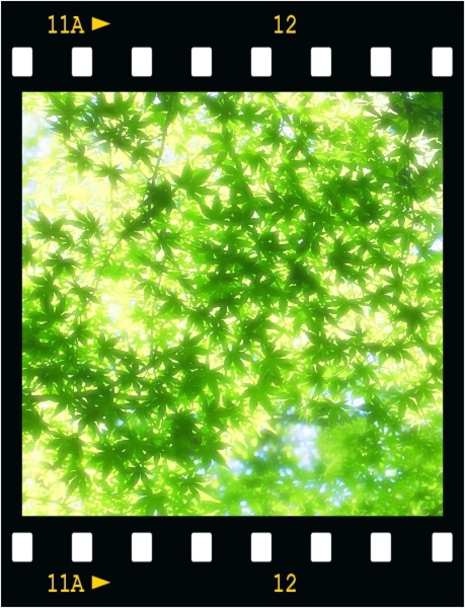 But I wait for you | GANREF