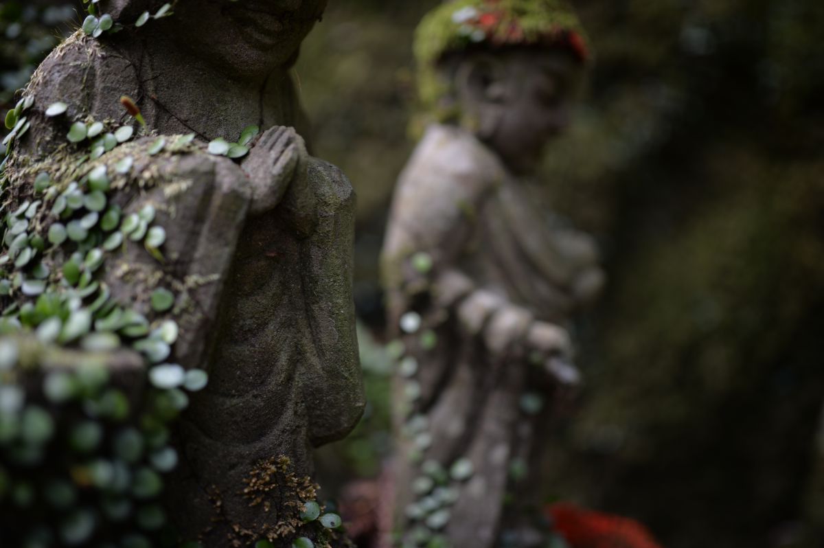 静寂の地 | GANREF