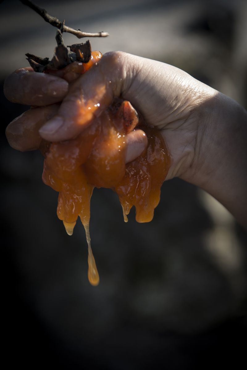 妖女の誘い04 | GANREF