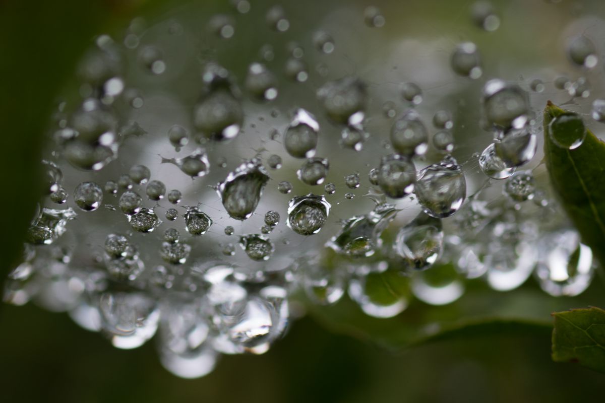 lighting bubble | GANREF