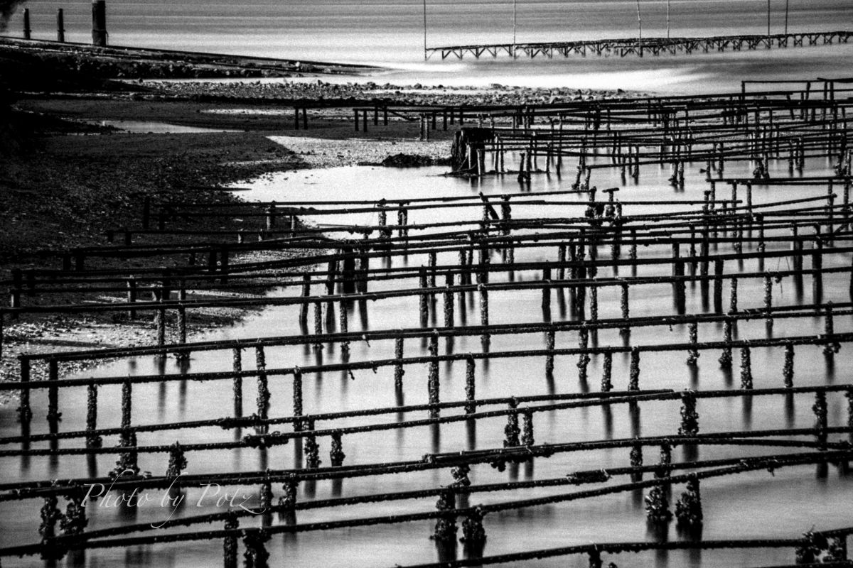 海岸風景 | GANREF