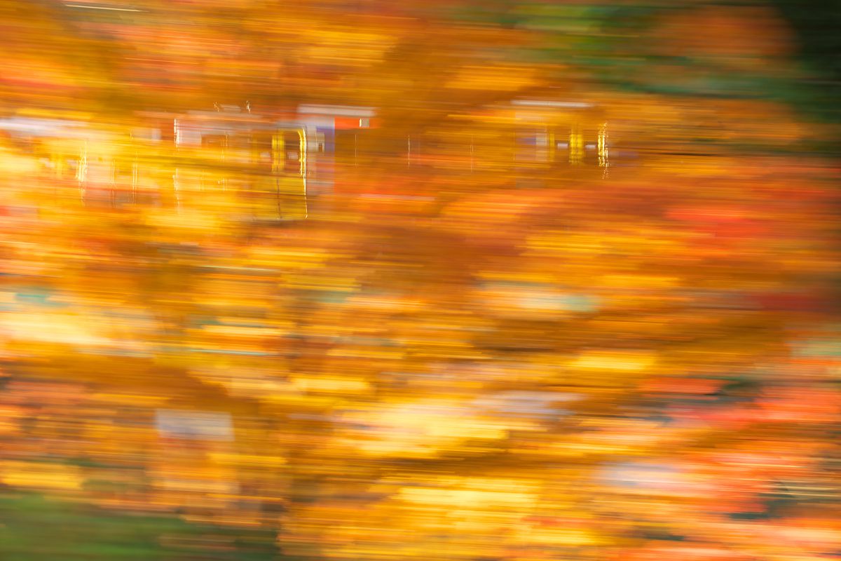 SOU（走・爽・想・奏.etc） | GANREF