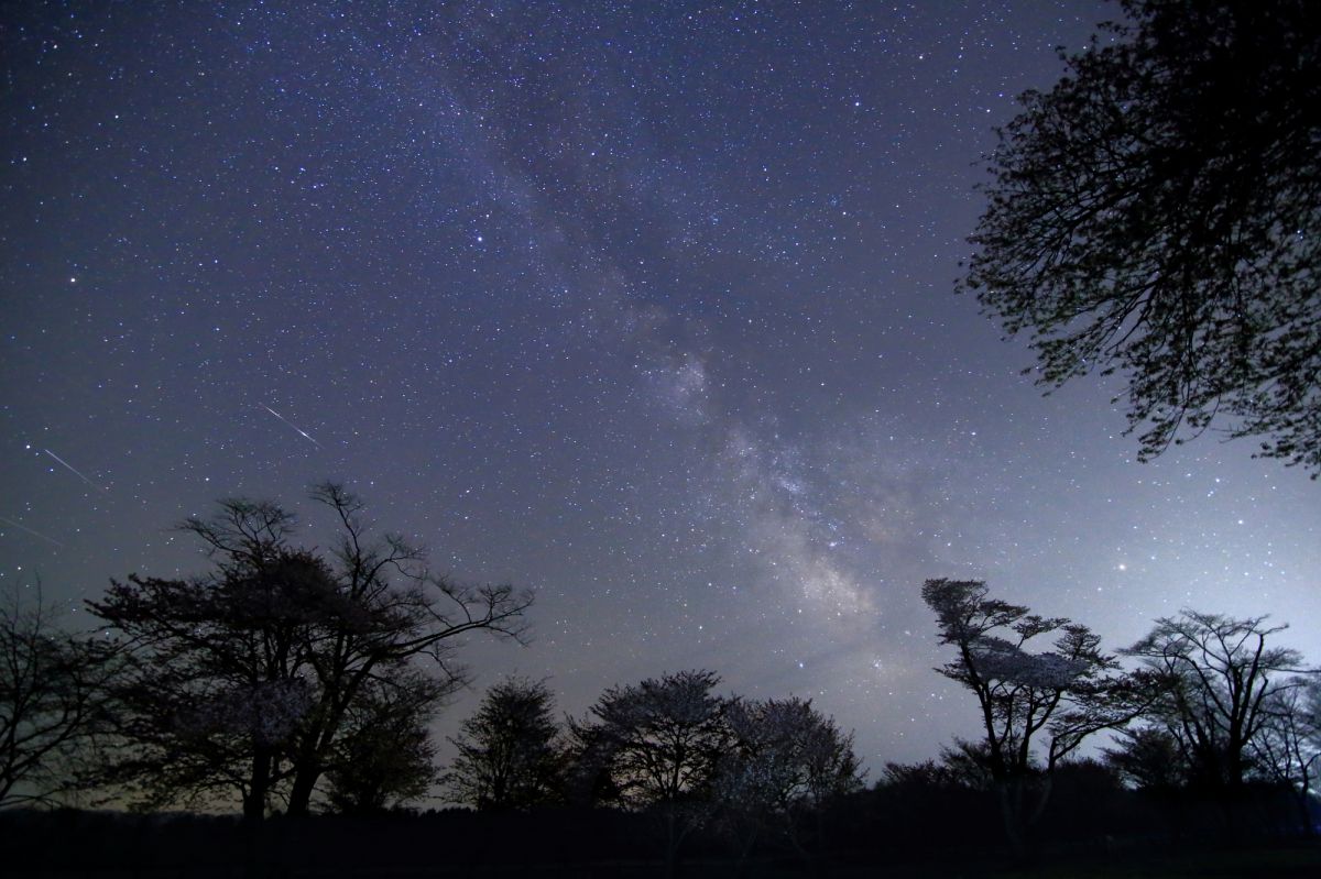 Galaxy blossom | GANREF