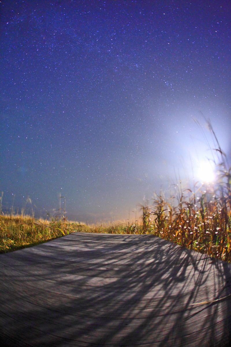 秋の夜空 | GANREF