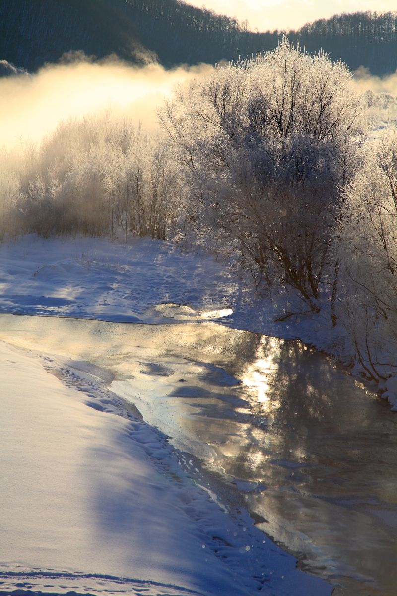 天使の囁く朝 | GANREF