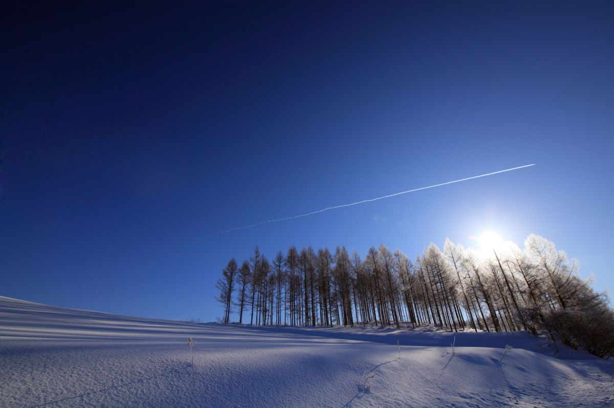 蒼天GOOD LUCK!! | GANREF