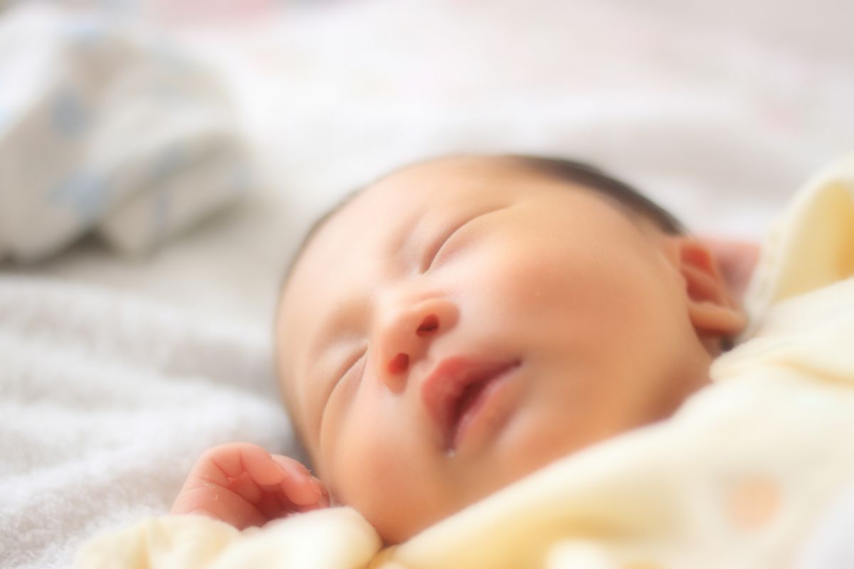 Sweet Heart | GANREF