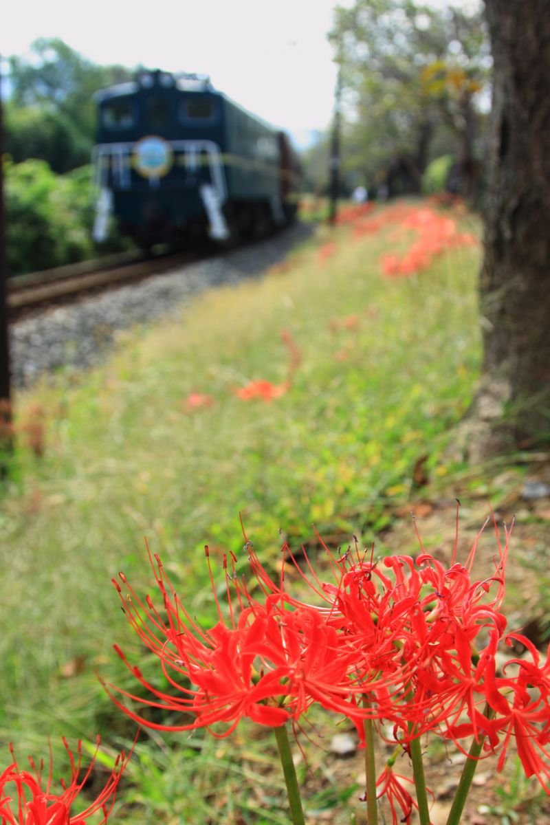 優しく、そっと | GANREF