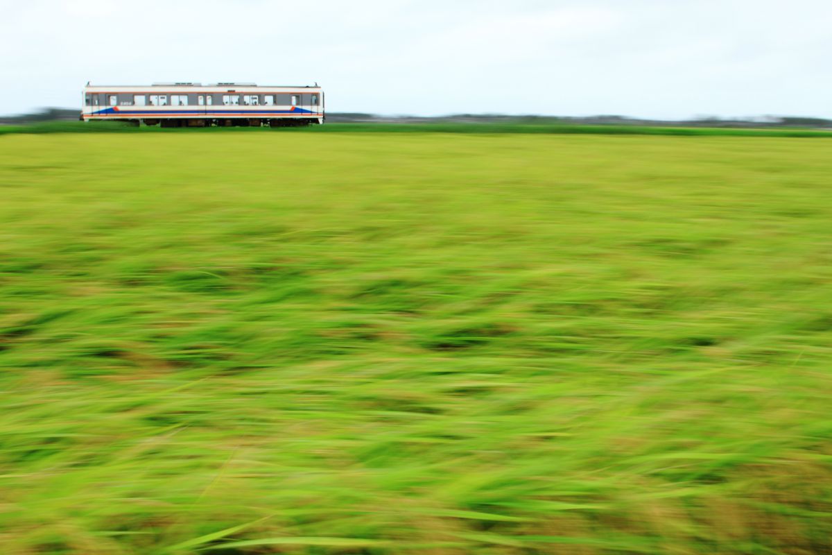 To the next stage !! | GANREF