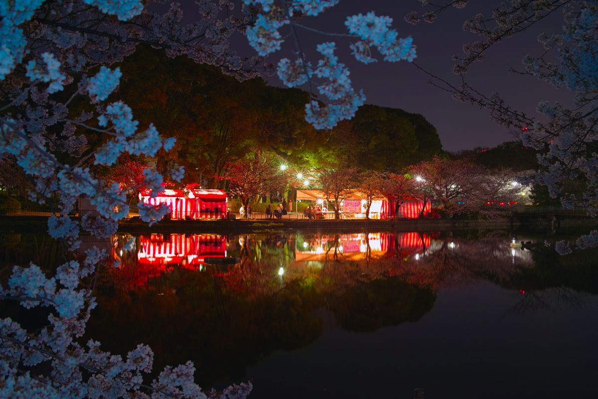 Cherry Frame | GANREF