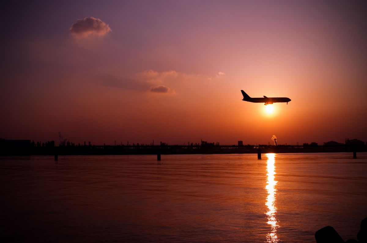 fright? flight? | GANREF