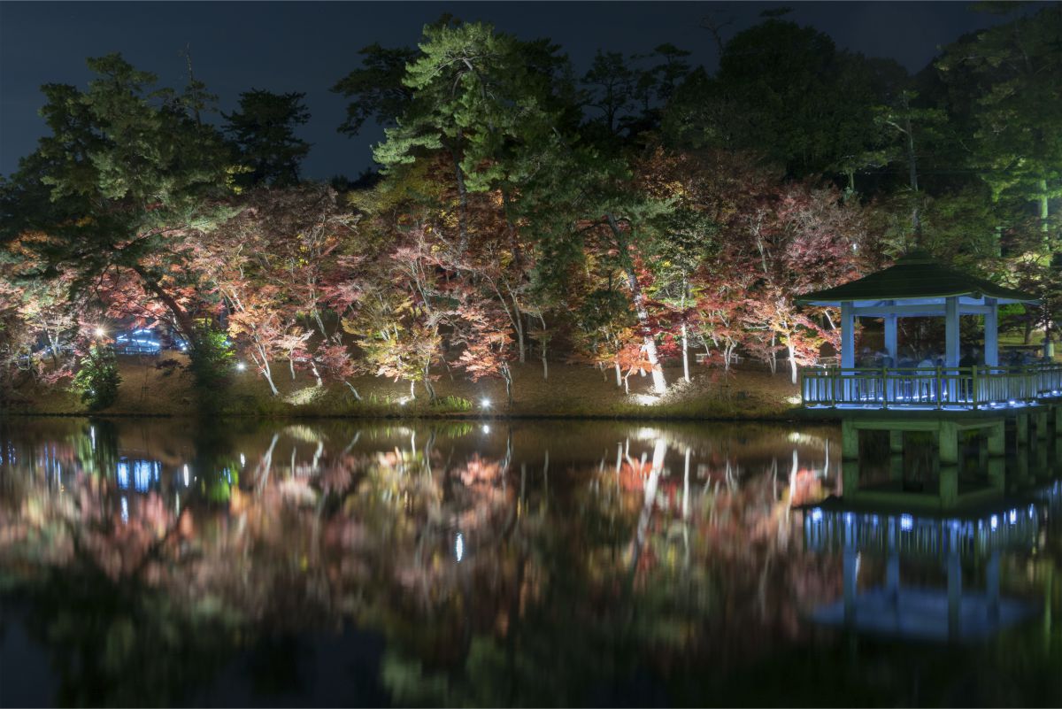 紅葉と逆さ紅葉 | GANREF