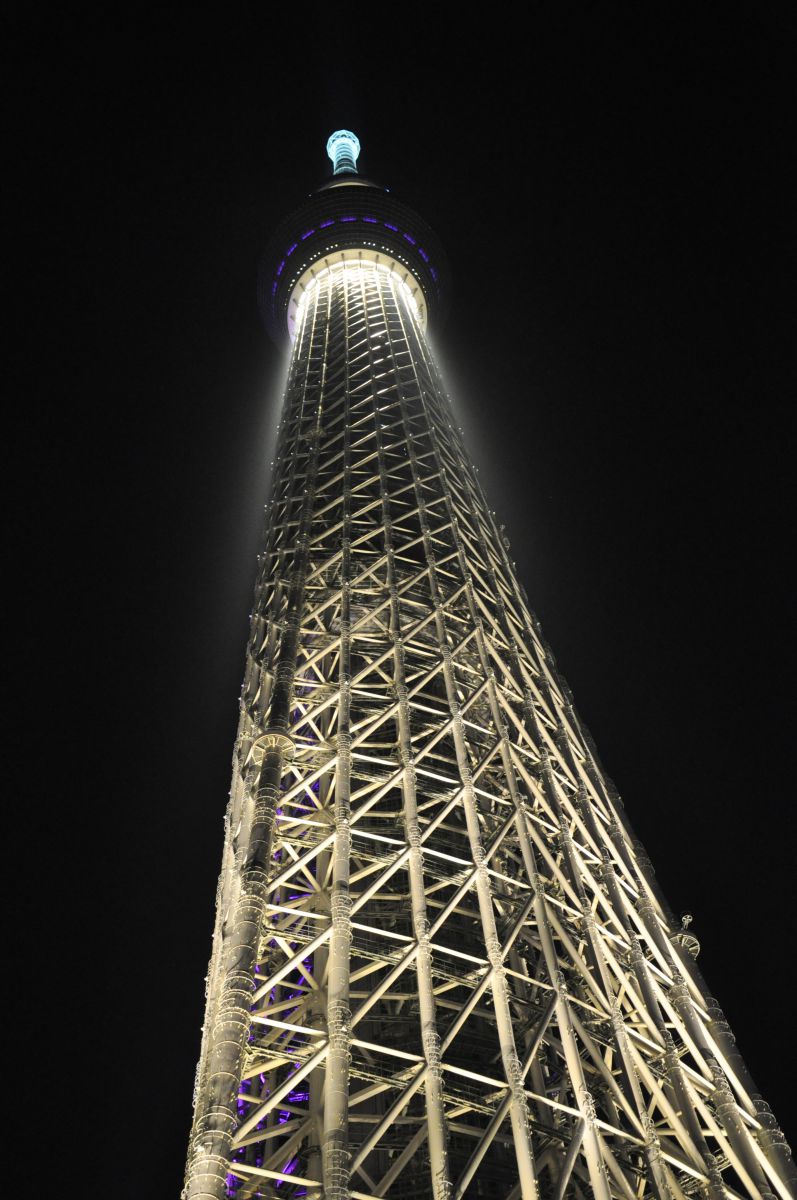 Sky tree | GANREF