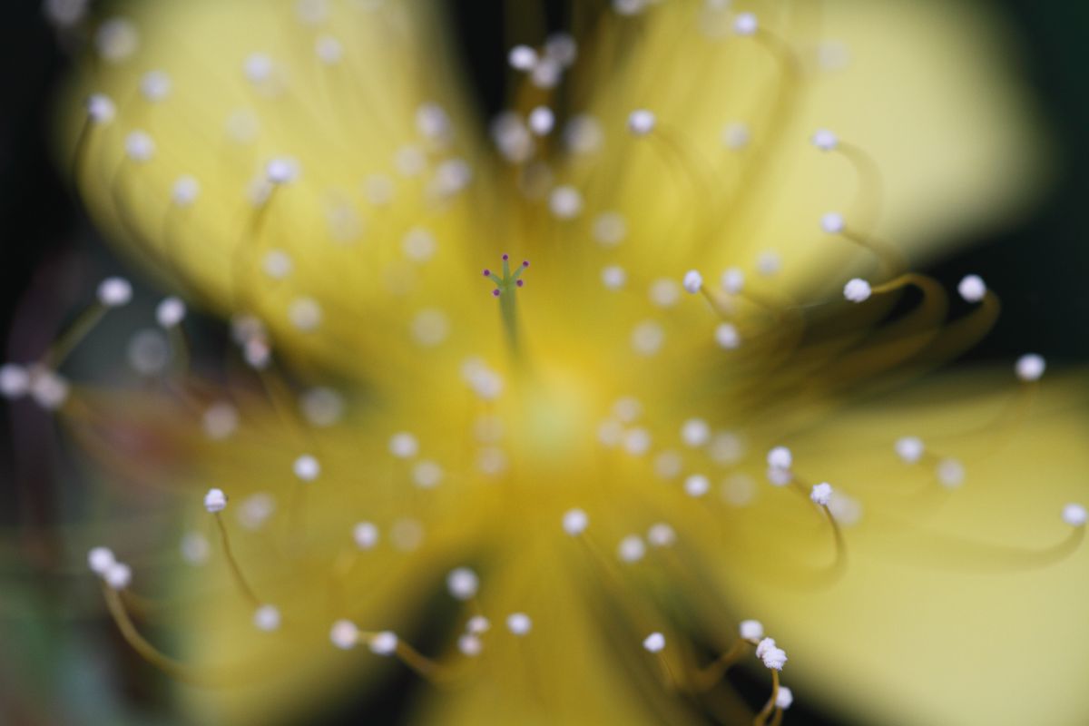 SF映画の1コマのような | GANREF