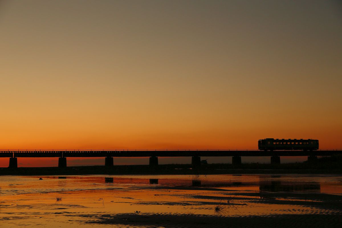 orange line 2 | GANREF