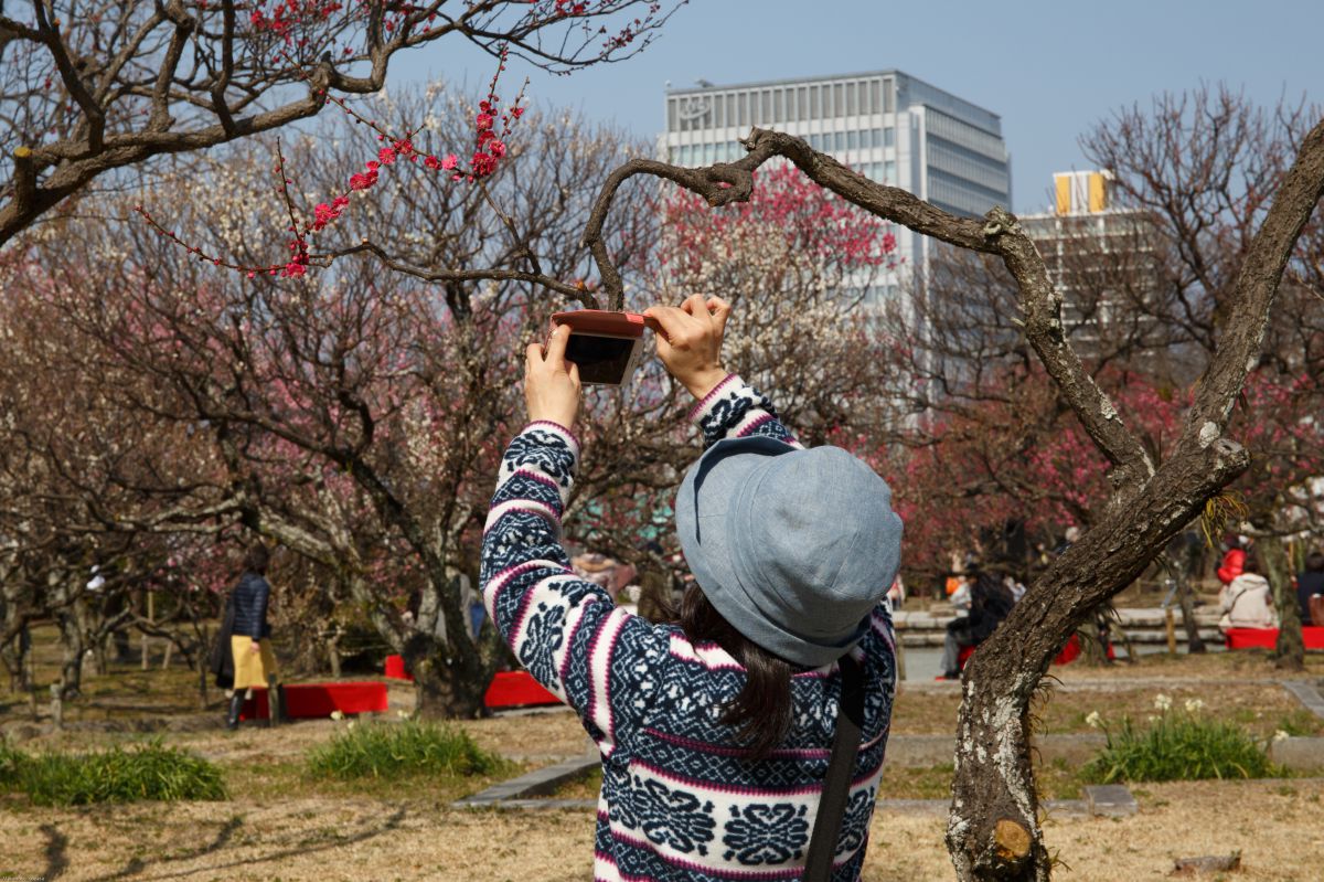 Spring has come | GANREF