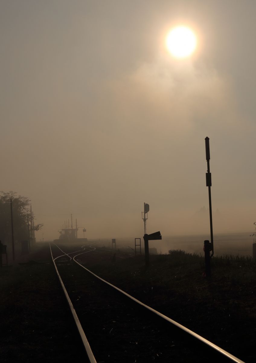 朝霧のLocal station | GANREF