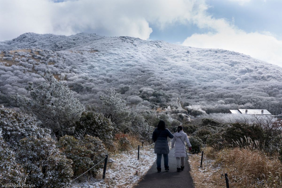 winter mountain | GANREF