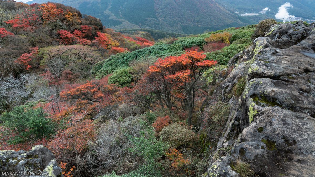 autumn mountain | GANREF