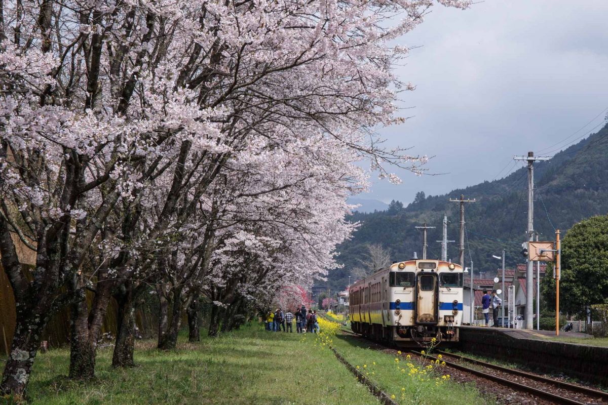 local train | GANREF