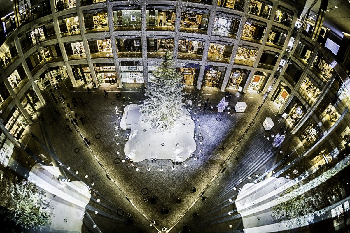 Triangle Night | GANREF