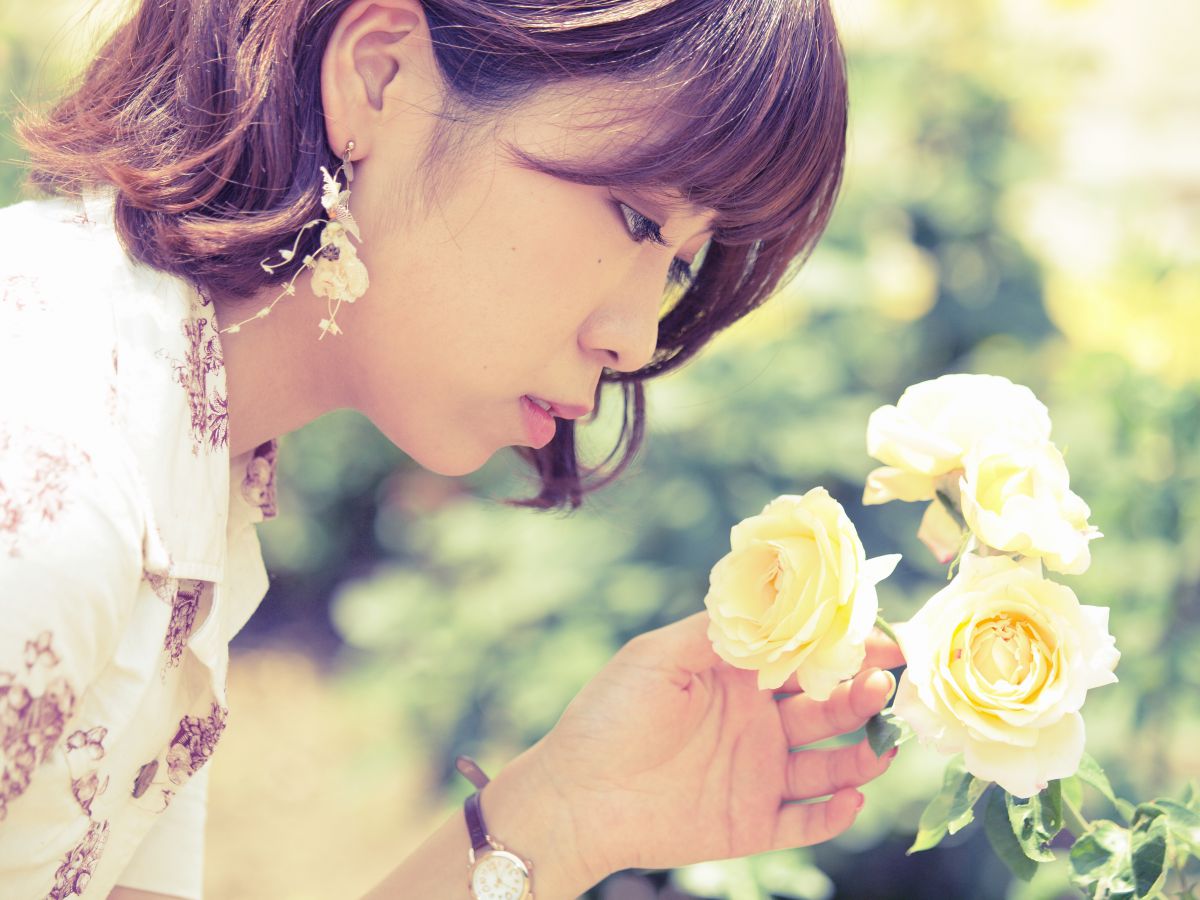 nostalgic rose | GANREF