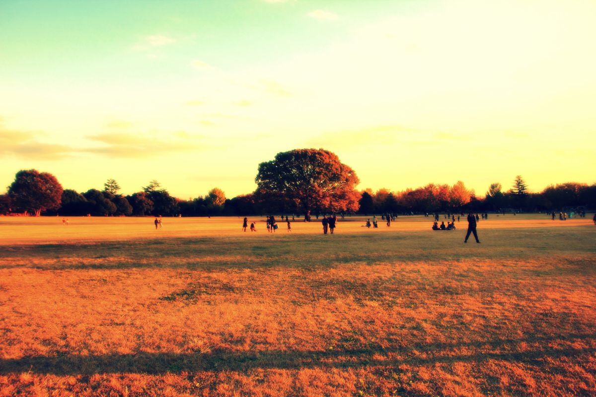 terrain vague | GANREF