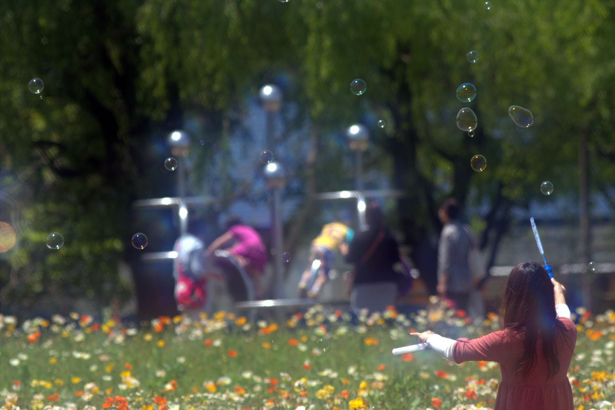 Park in the spring | GANREF