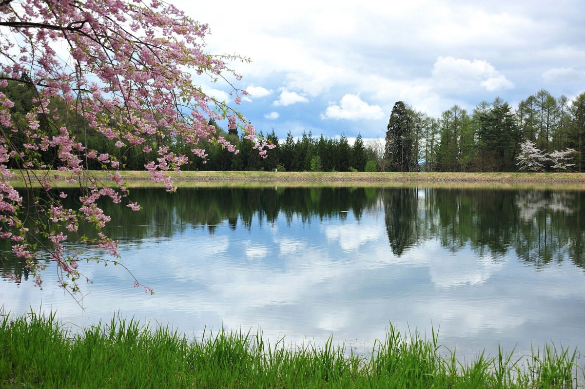 Beautiful Harmony | GANREF