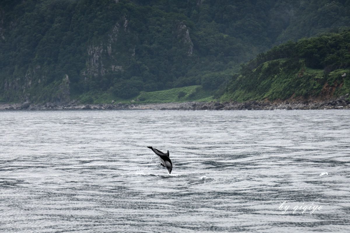 Natural Dive | GANREF