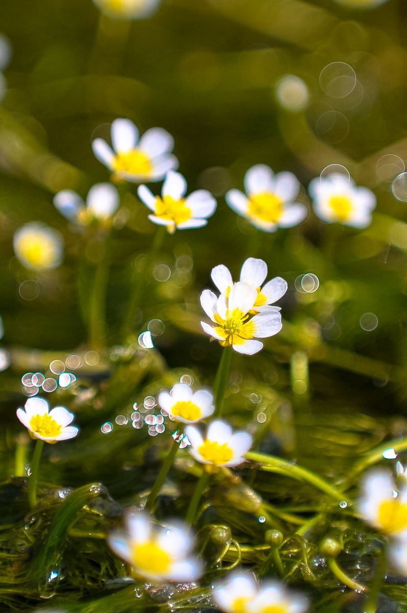 きらきらきら〜♪ | GANREF