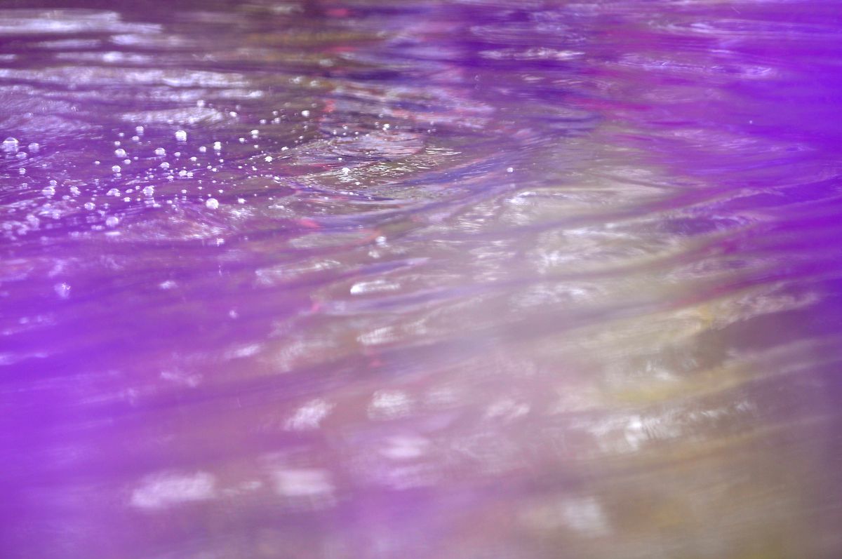 Mysterious purple | GANREF