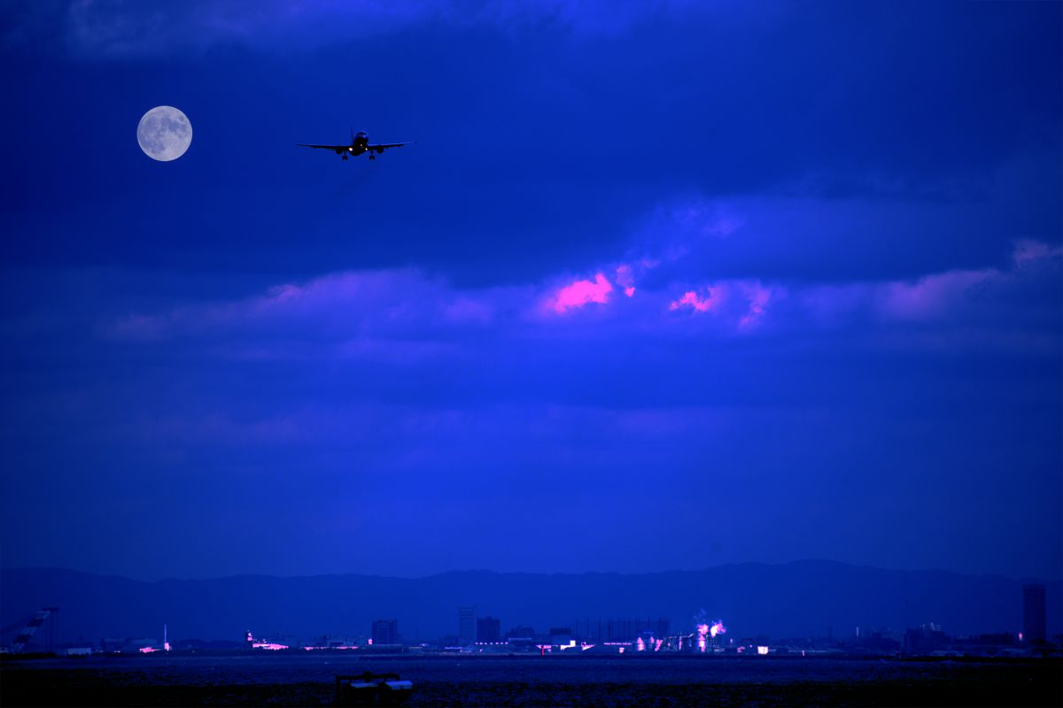 Moonlight Flight | GANREF