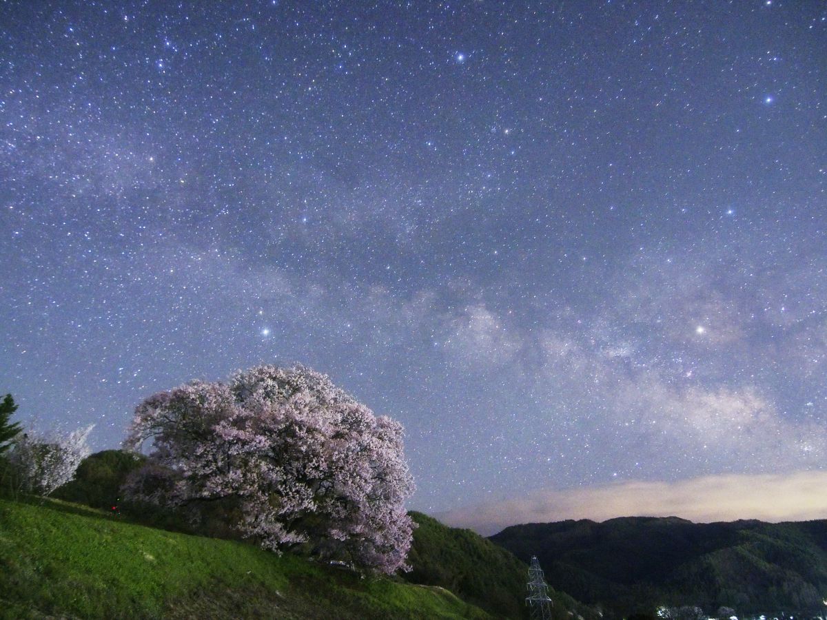 一本桜と天の川’2017 | GANREF