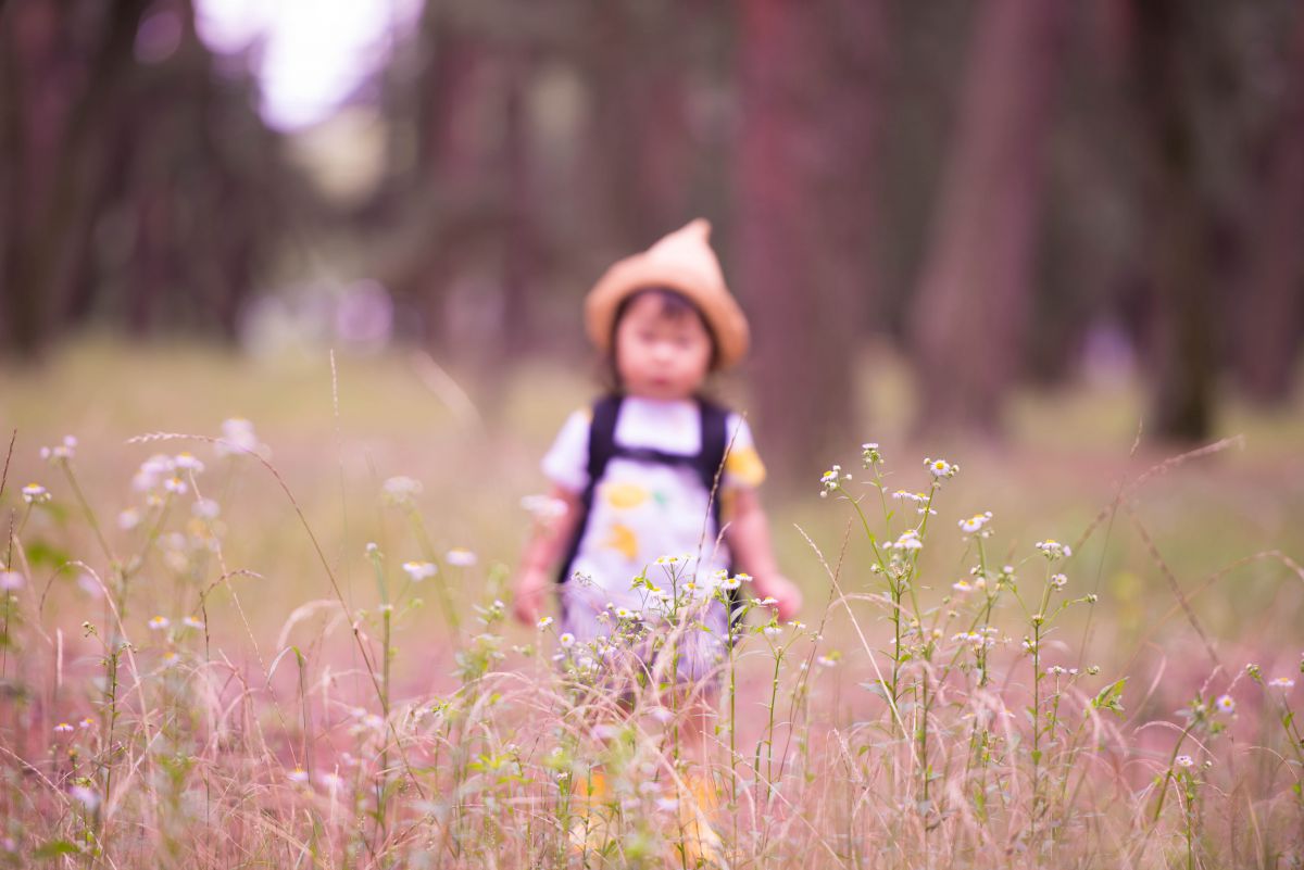 お写んぽ | GANREF