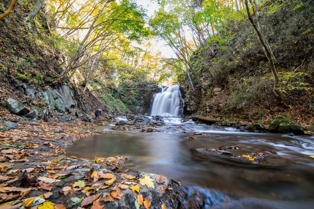 撮る人を撮る | GANREF