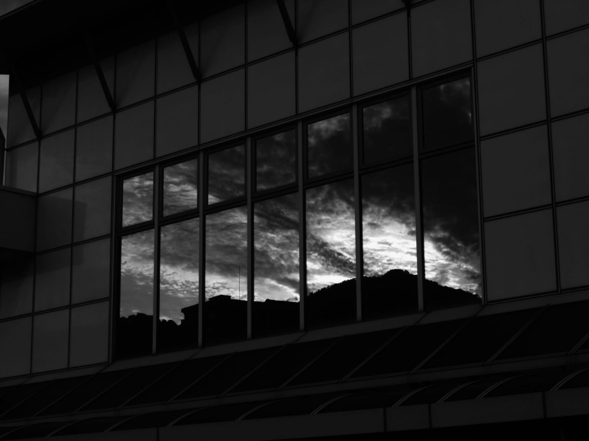 window screen | GANREF