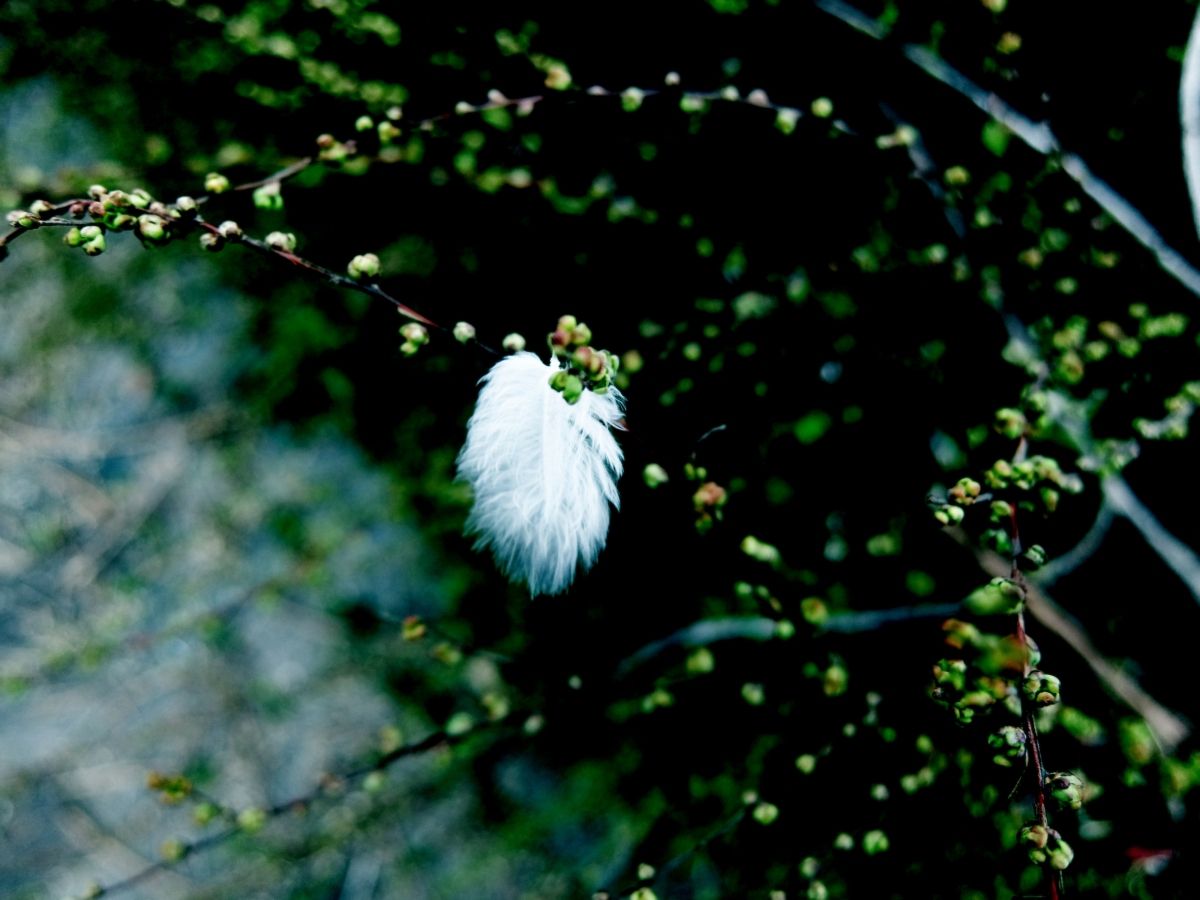 忘れ物 -what was left behind- | GANREF